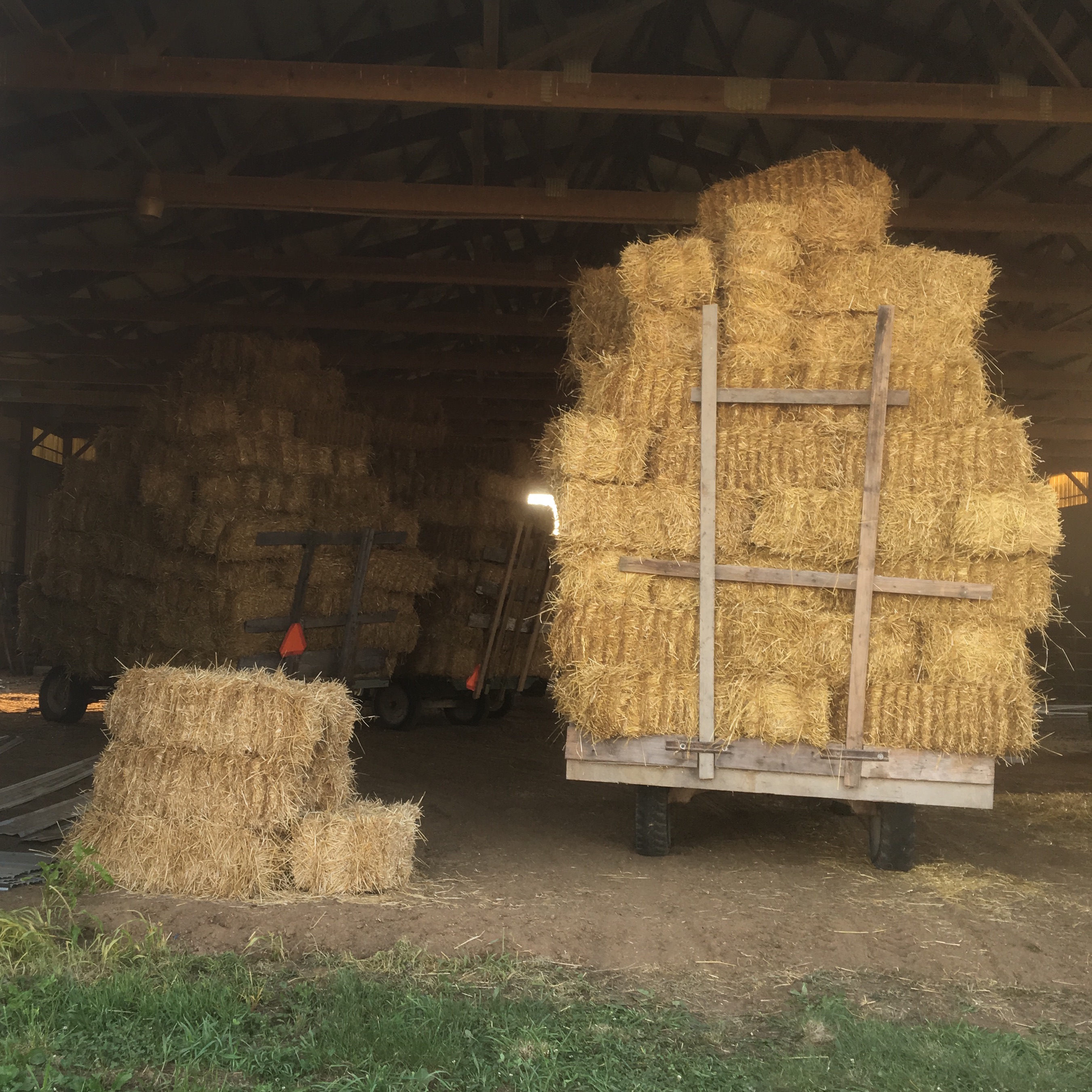 Hay For Sale Va at Zoe Nixon-smith blog